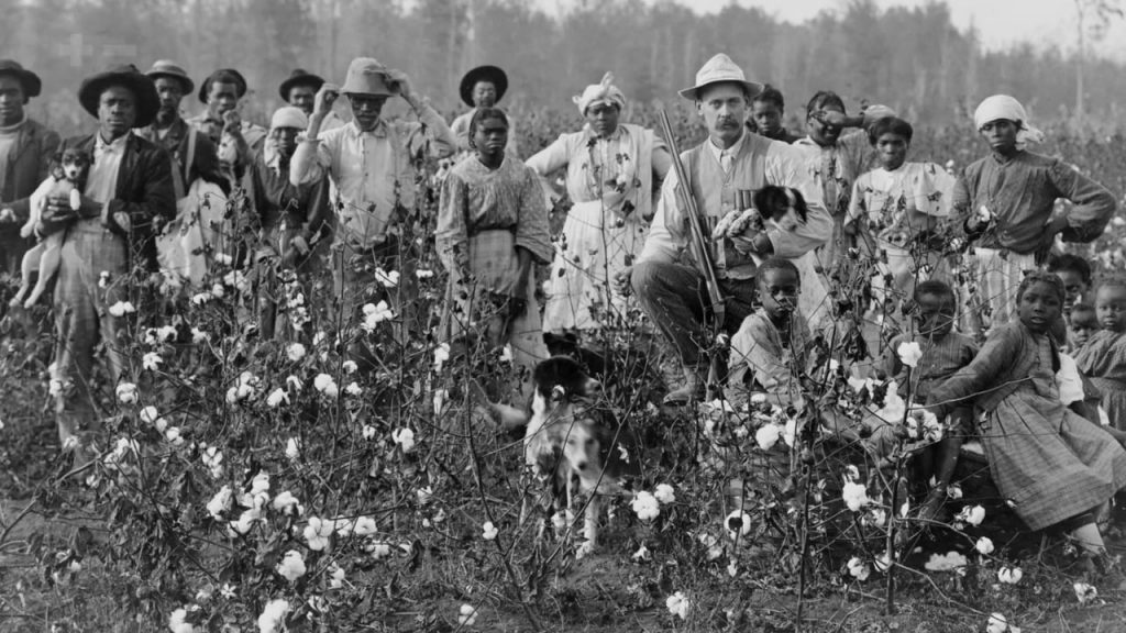 What the New York Times Got Wrong About Slavery in America — Minding ...